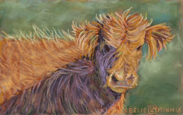 ORIGINAL: Pastel "Curious Highland Calf", 8" x 10" Artist: Leslie Minn ...